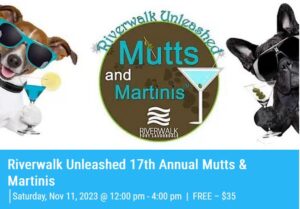 Boxer Friends Inc. – GIVING BOXERS A NEW LEASH ON LIFE